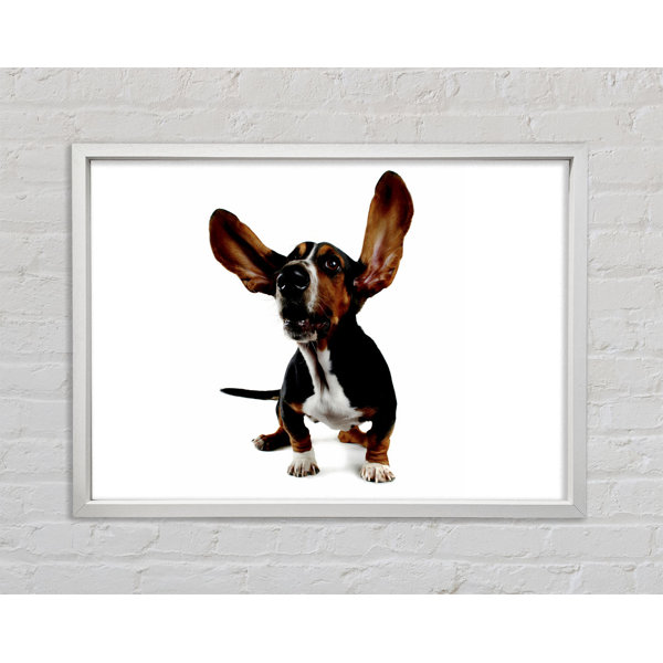 Bright Star Bassett Hound Ears Single Picture Frame Art Prints On Canvas Uk